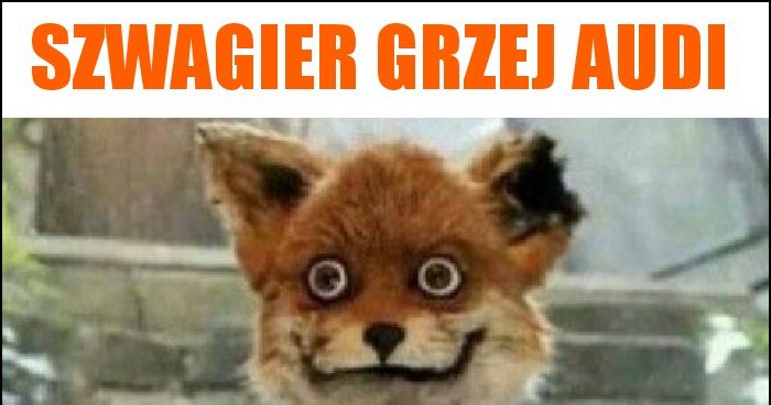 Szwagier grzej Audi memy, gify i śmieszne obrazki facebook, tapety ...