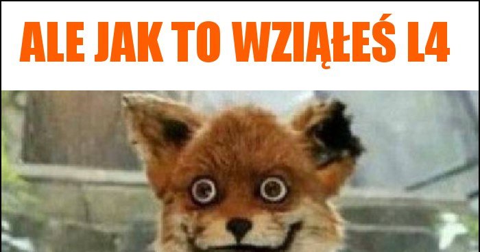 Ale jak to wziąłeś L4 memy, gify i śmieszne obrazki facebook, tapety ...