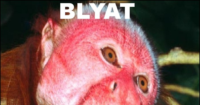 BLYAT memy, gify i śmieszne obrazki facebook, tapety, demotywatory zdjęcia