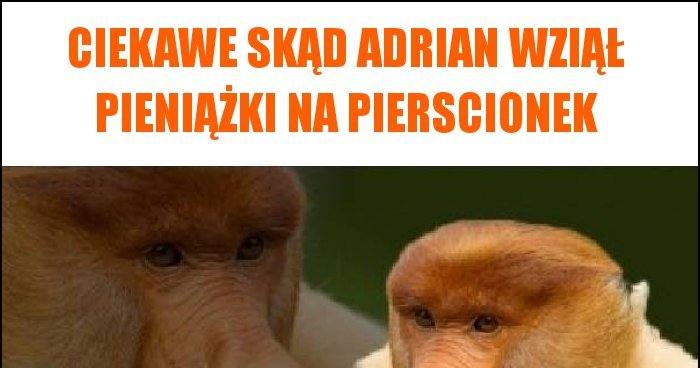 Ciekawe skąd Adrian wziął pieniążki na pierscionek memy, gify i ...