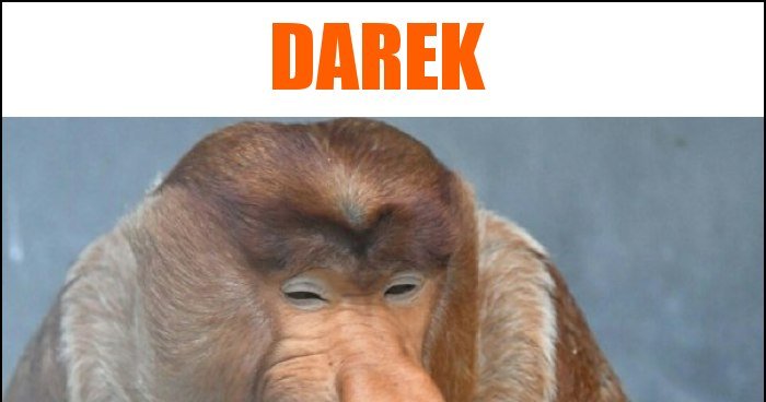 Darek memy, gify i śmieszne obrazki facebook, tapety, demotywatory zdjęcia