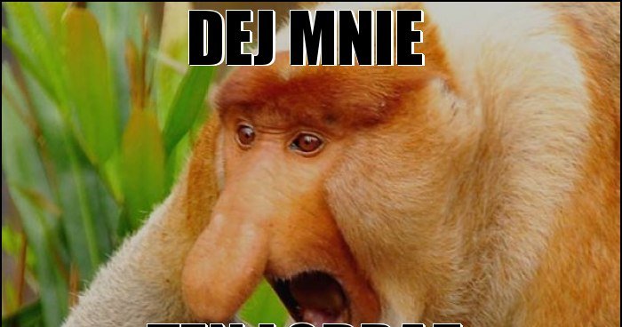 Dej mnie memy, gify i śmieszne obrazki facebook, tapety, demotywatory ...