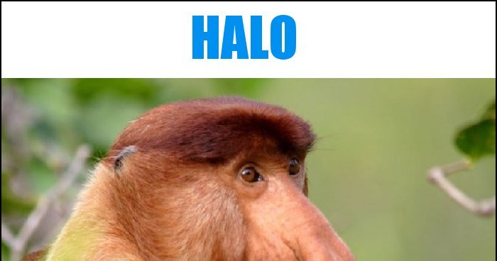 HALo memy, gify i śmieszne obrazki facebook, tapety, demotywatory zdjęcia