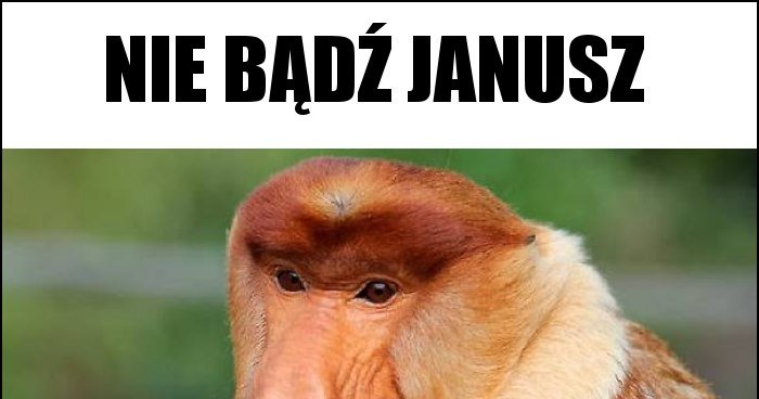 Nie bądź Janusz memy, gify i śmieszne obrazki facebook, tapety ...