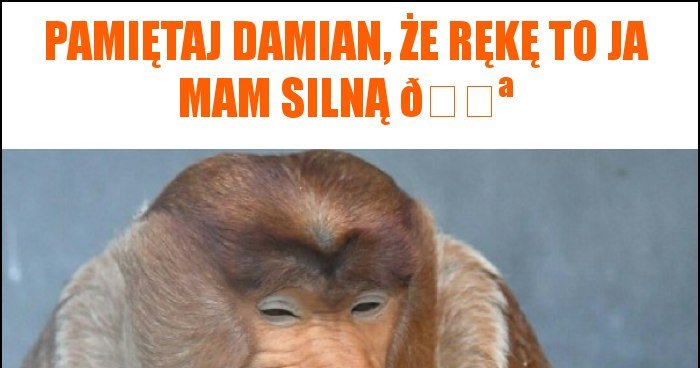 PAMIĘTAJ DAMIAN, ŻE RĘKĘ TO JA MAM SILNĄ memy, gify i śmieszne obrazki ...
