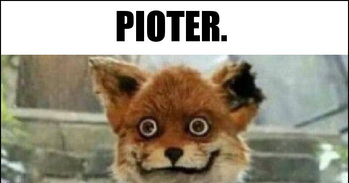 Pioter. memy, gify i śmieszne obrazki facebook, tapety, demotywatory ...
