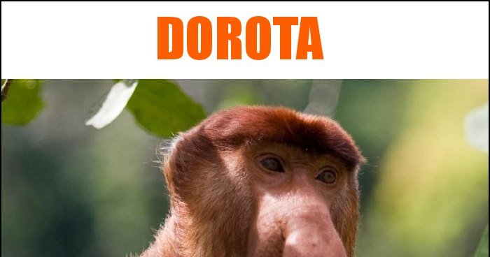 Dorota memy, gify i śmieszne obrazki facebook, tapety, demotywatory zdjęcia