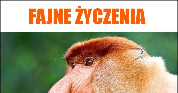 Fajne życzenia memy, gify i śmieszne obrazki facebook, tapety ...