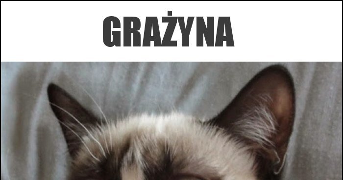 Grażyna memy, gify i śmieszne obrazki facebook, tapety, demotywatory ...