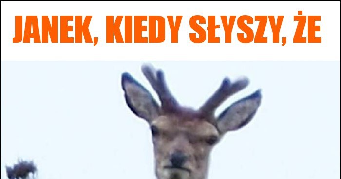 Janek, kiedy słyszy, że memy, gify i śmieszne obrazki facebook, tapety ...