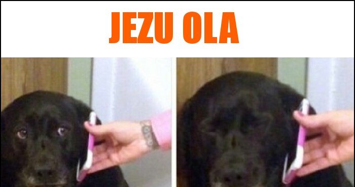 Jezu OLA memy, gify i śmieszne obrazki facebook, tapety, demotywatory ...