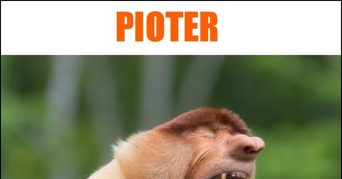 Pioter memy, gify i śmieszne obrazki facebook, tapety, demotywatory zdjęcia