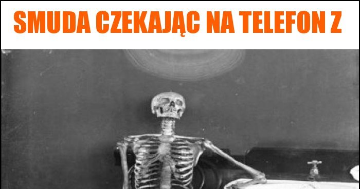 Smuda czekając na telefon z memy, gify i śmieszne obrazki facebook ...