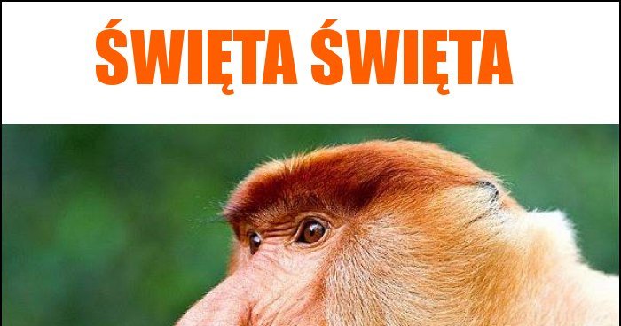ŚWIĘTA ŚWIĘTA memy, gify i śmieszne obrazki facebook, tapety ...