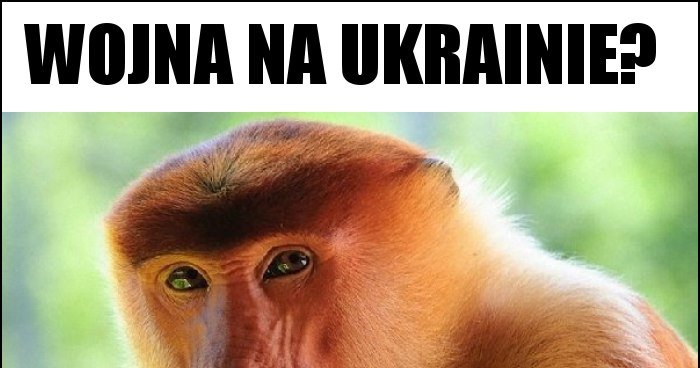 Wojna na ukrainie? memy, gify i śmieszne obrazki facebook, tapety ...
