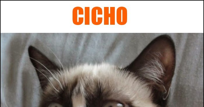 Cicho memy, gify i śmieszne obrazki facebook, tapety, demotywatory zdjęcia