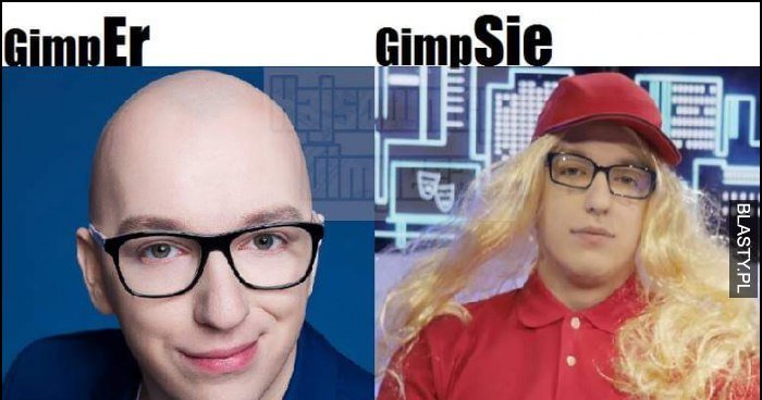 Gimper memy, gify i śmieszne obrazki facebook, tapety, demotywatory zdjęcia