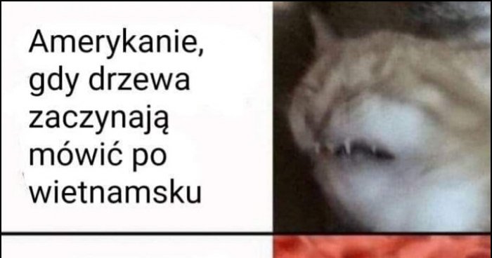 II wojna światowa memy, gify i śmieszne obrazki facebook, tapety ...