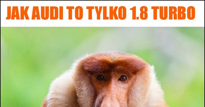 Jak audi to tylko 1.8 turbo memy, gify i śmieszne obrazki facebook ...