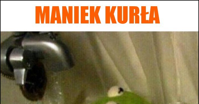 Maniek kurła memy, gify i śmieszne obrazki facebook, tapety ...