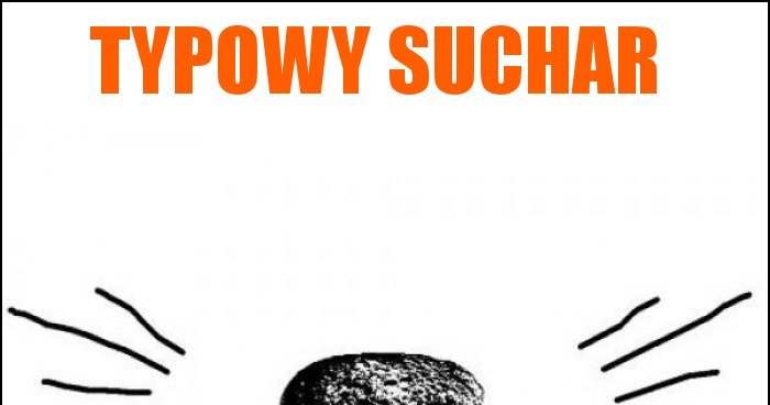 Typowy suchar memy, gify i śmieszne obrazki facebook, tapety ...
