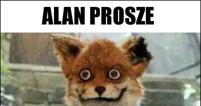 Alan prosze memy, gify i śmieszne obrazki facebook, tapety ...