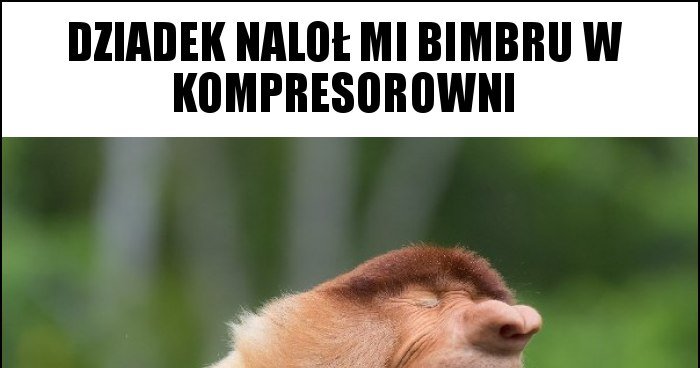 Dziadek naloł mi bimbru w kompresorowni memy, gify i śmieszne obrazki ...