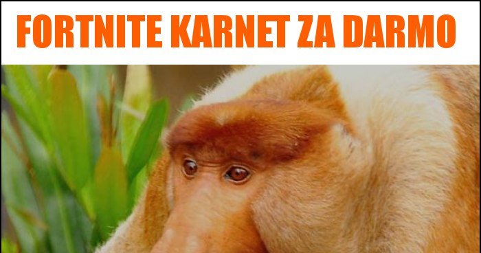 FORTNITE KARNET ZA DARMO memy, gify i śmieszne obrazki facebook, tapety ...