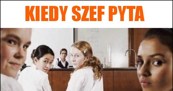 Kiedy szef pyta memy, gify i śmieszne obrazki facebook, tapety ...
