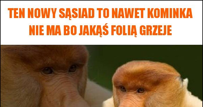 TEN NOWY SĄSIAD TO NAWET KOMINKA NIE MA BO JAKĄŚ FOLIĄ GRZEJE memy ... TEN NOWY SĄSIAD TO NAWET KOMINKA NIE MA BO JAKĄŚ FOLIĄ GRZEJE memy ...