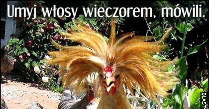 Umyj włosy wieczorem mówili, będziesz mieć rano więcej czasu mówili ...