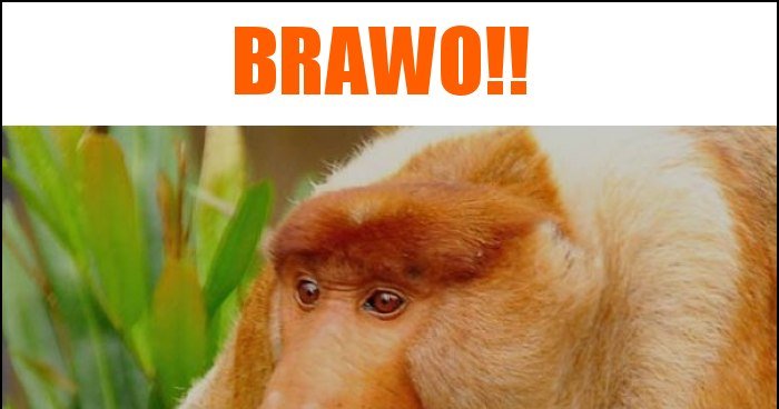 BRAWO!! memy, gify i śmieszne obrazki facebook, tapety, demotywatory ...