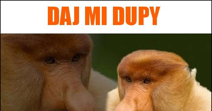 Daj mi dupy memy, gify i śmieszne obrazki facebook, tapety ...