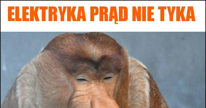 Elektryka prąd nie tyka memy, gify i śmieszne obrazki facebook, tapety ...