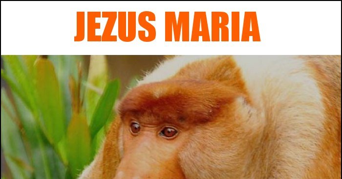 JEZUS MARIA memy, gify i śmieszne obrazki facebook, tapety ...
