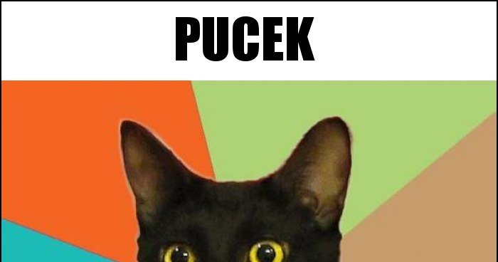 PUCEK memy, gify i śmieszne obrazki facebook, tapety, demotywatory zdjęcia