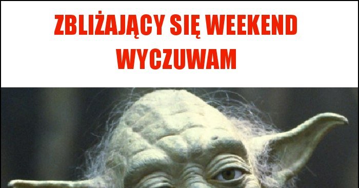 Zbliżający się weekend wyczuwam memy, gify i śmieszne obrazki facebook ...