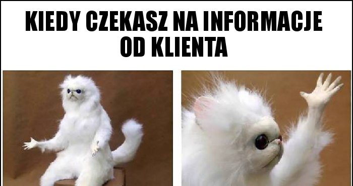 kiedy czekasz na informacje od klienta memy, gify i śmieszne obrazki ...