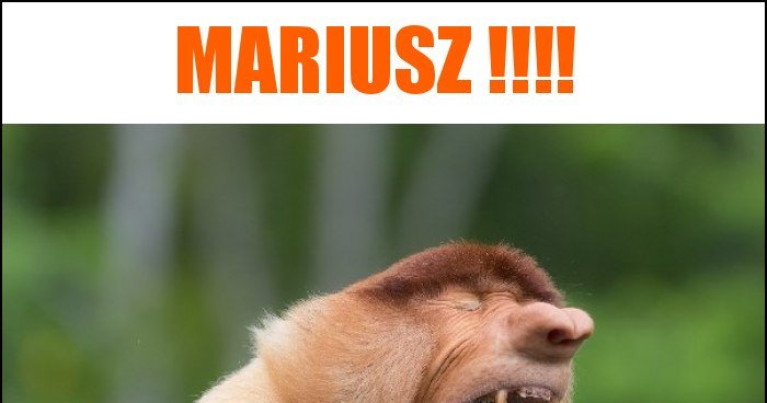 Mariusz !!!! memy, gify i śmieszne obrazki facebook, tapety ...