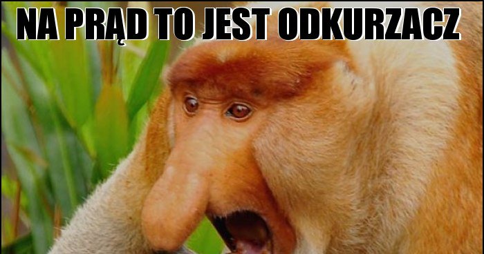 Na prąd to jest odkurzacz memy, gify i śmieszne obrazki facebook ...