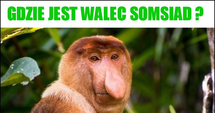 gdzie jest walec somsiad ? memy, gify i śmieszne obrazki facebook ...