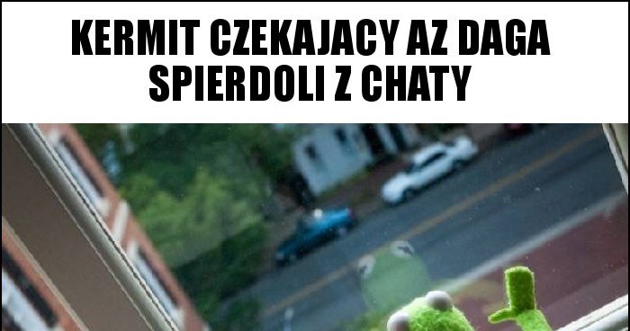 Kermit czekajacy az daga spierdoli z chaty memy, gify i śmieszne ...