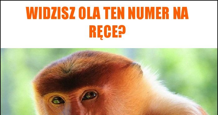 Widzisz Ola ten numer na ręce? memy, gify i śmieszne obrazki facebook ...