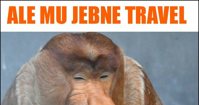 Ale mu jebne travel memy, gify i śmieszne obrazki facebook, tapety ...