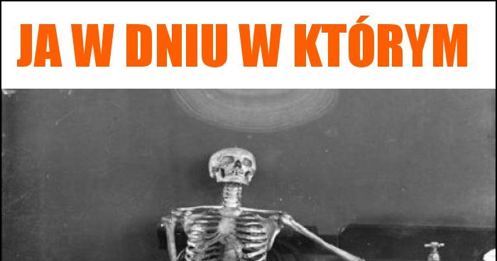 Ja w dniu w którym memy, gify i śmieszne obrazki facebook, tapety ... Ja w dniu w którym memy, gify i śmieszne obrazki facebook, tapety ...