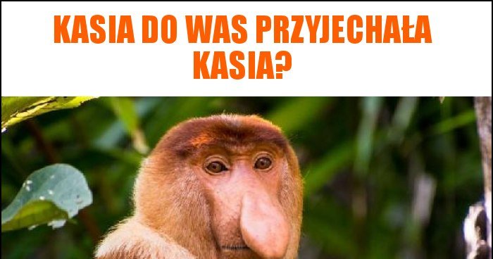 Kasia do was przyjechała kasia? memy, gify i śmieszne obrazki facebook ...