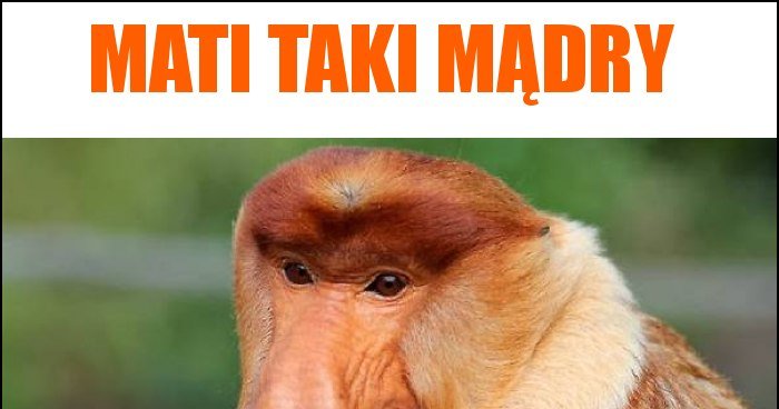 Mati taki mądry memy, gify i śmieszne obrazki facebook, tapety ...
