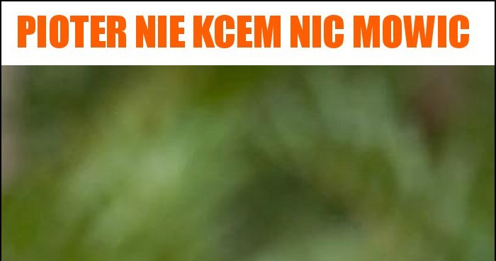 pioter nie kcem nic mowic memy, gify i śmieszne obrazki facebook ...