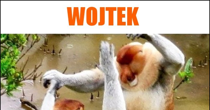 Wojtek memy, gify i śmieszne obrazki facebook, tapety, demotywatory zdjęcia