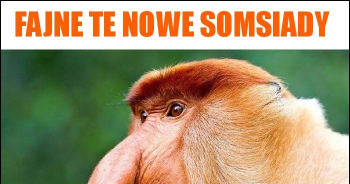 FAJNE TE NOWE SOMSIADY memy, gify i śmieszne obrazki facebook, tapety ...